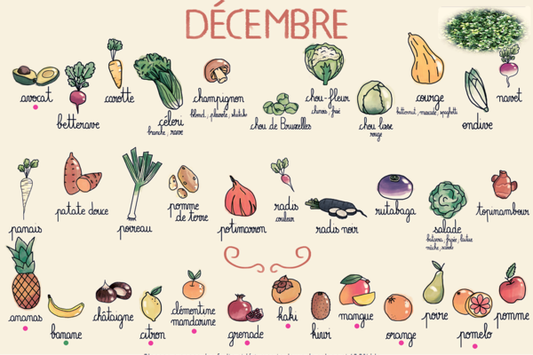 calendrier des fruits et légumes de décembre | Blog