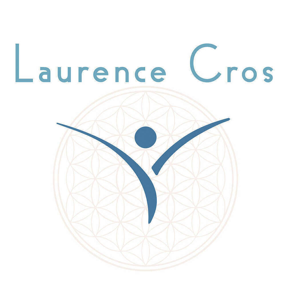 Quels sont les différents types de cuirasses