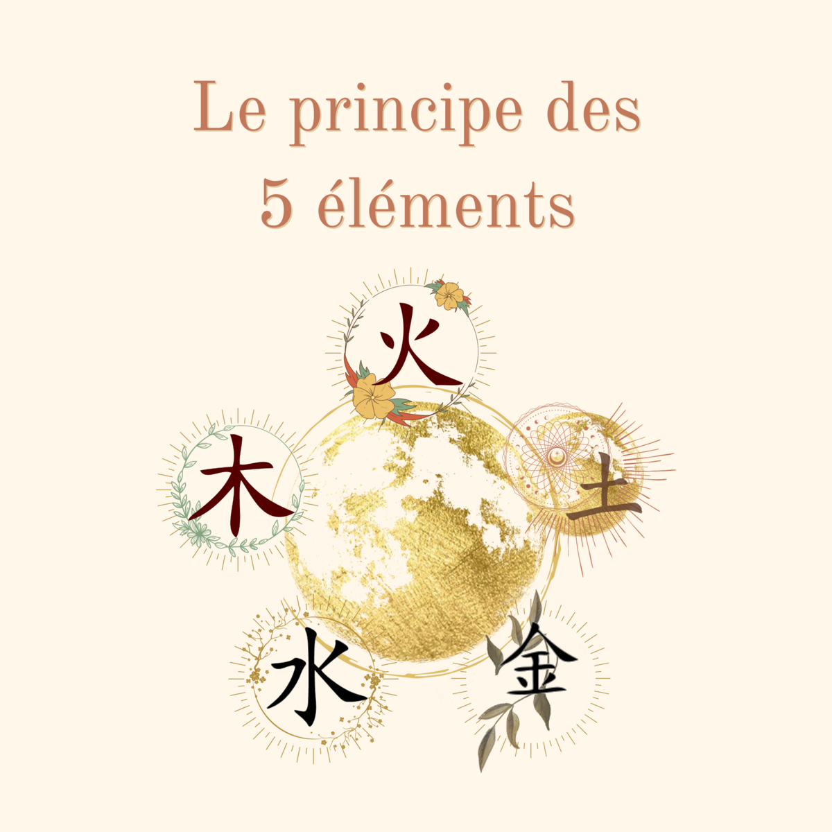 Le principe des 5 éléments | Tous les articles