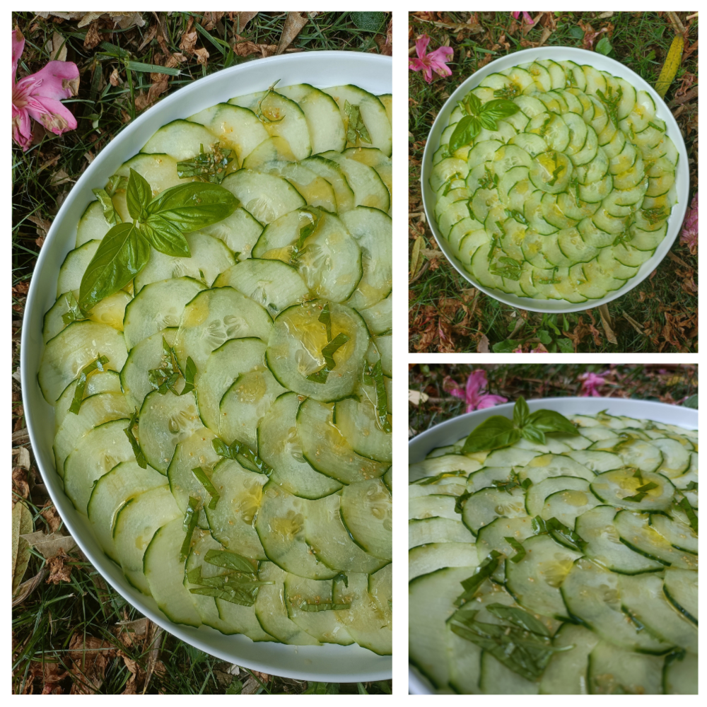 Je cuisine le Concombre