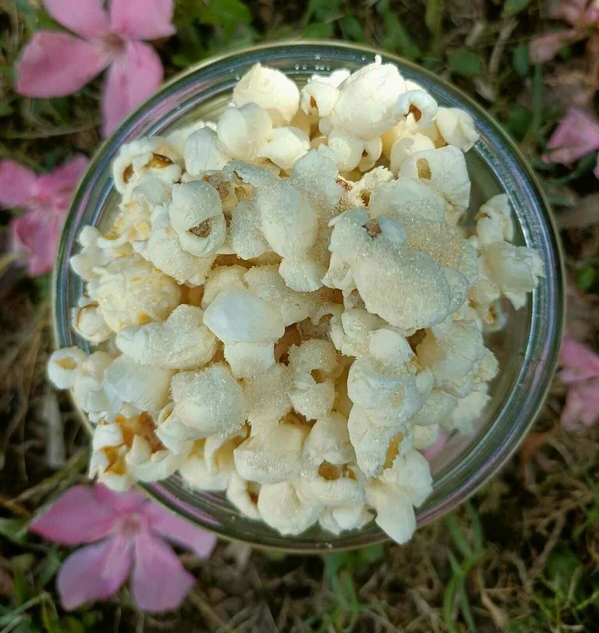 Le Pop Corn | Blog culinaire Zest' de Flow