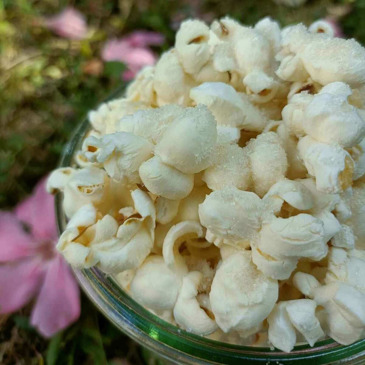 Le Pop Corn | Blog culinaire Zest' de Flow
