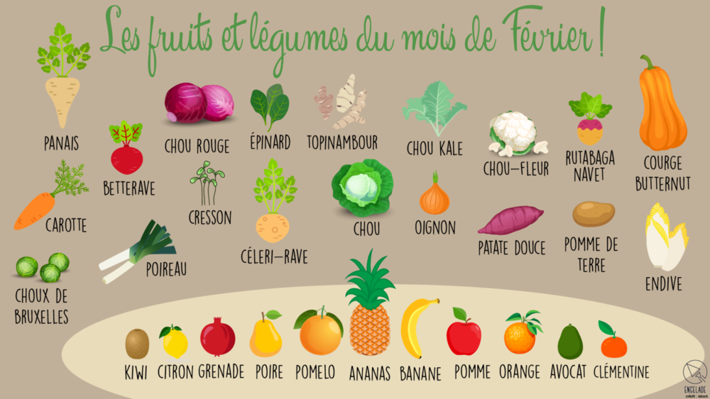 LEGUMES DU MOIS DE FEVRIER | ARTICLES