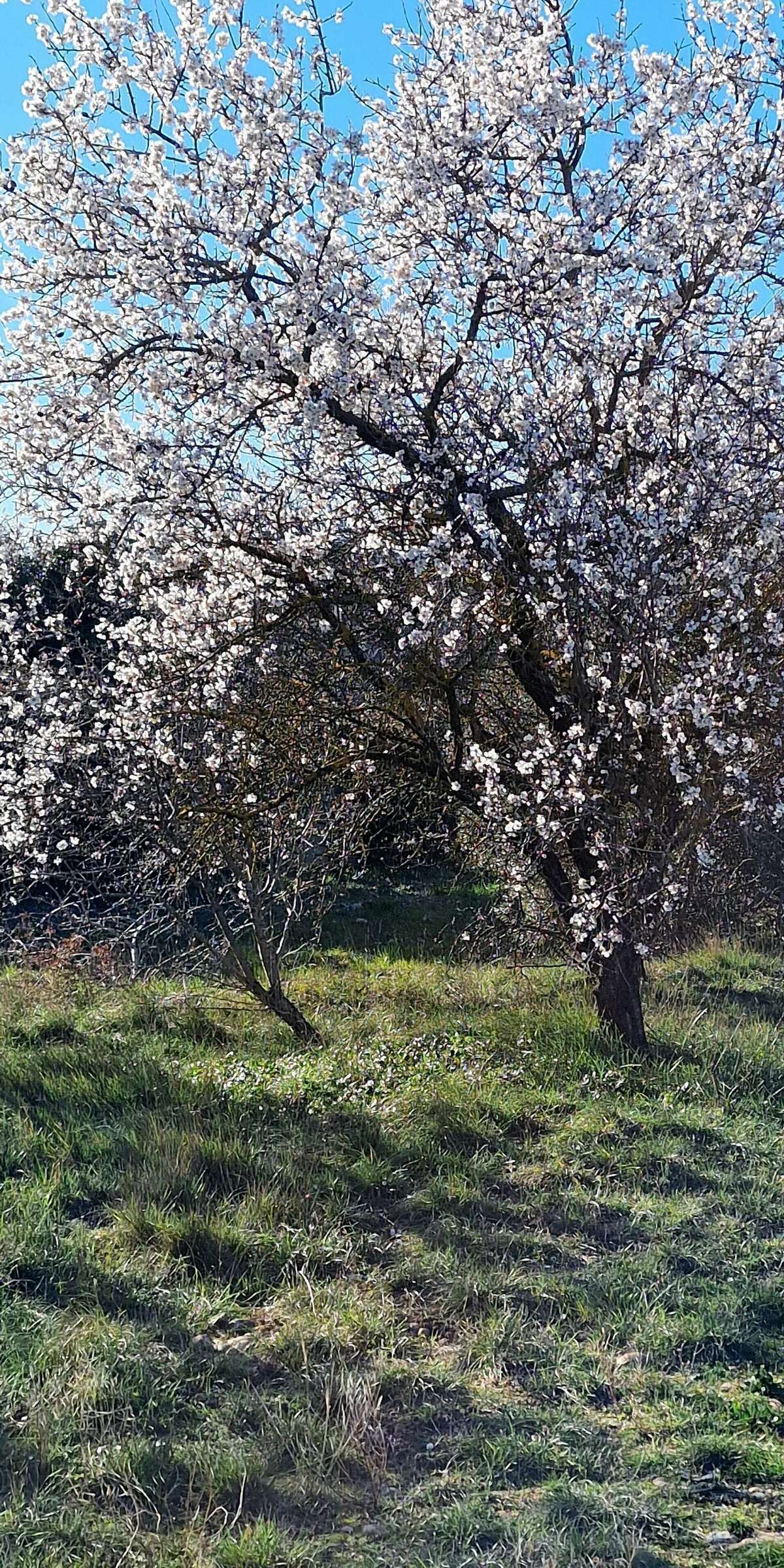 Psychanalyste à proximité d'Avignon | Catherine Duval