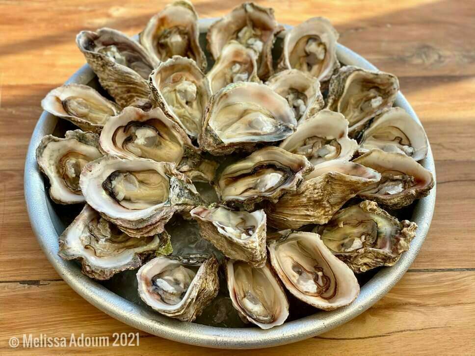 Nouvel Arrivage d'Huîtres en provenance de Fort Dauphin! | BLOG