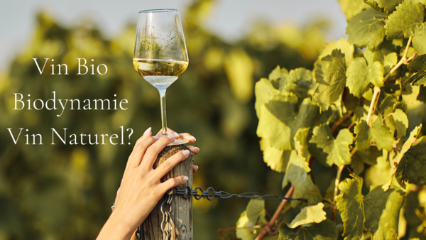 Vin Bio, Biodynamie et vin naturel | Blog