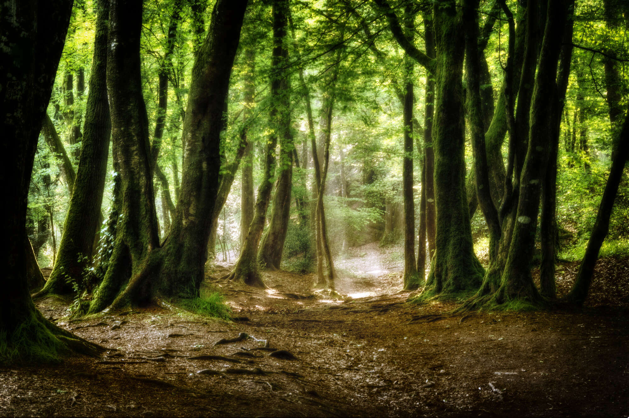 Hypnothérapeute et psychologue à Plougastel-Daoulas (29470) | Nathalie ...