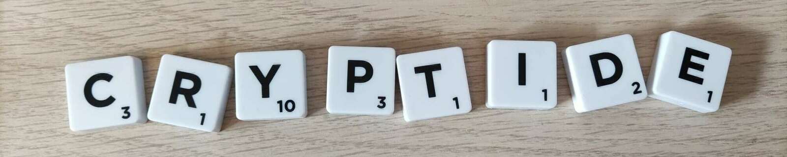 Cryptide : Pour les fans d'énigmes et de cache-cache | Articles