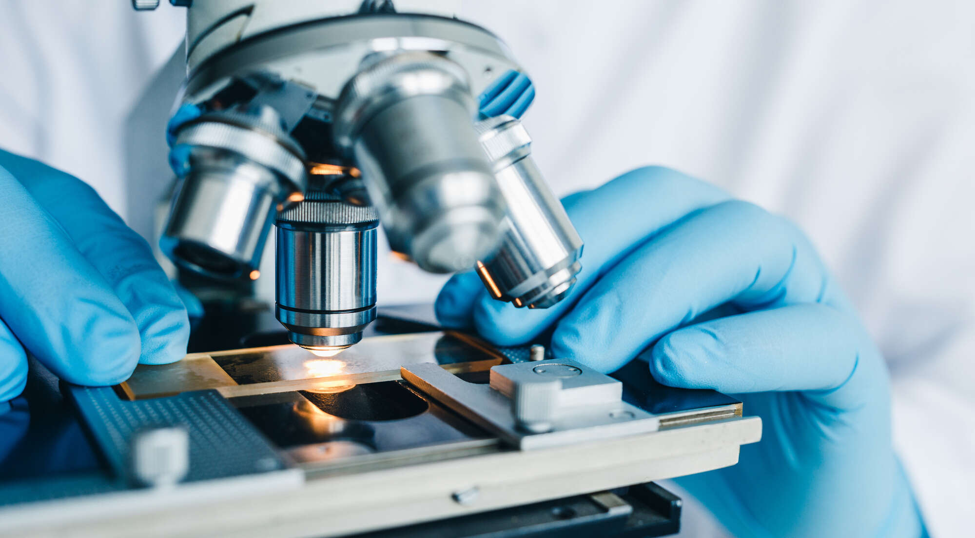 L’intérêt des analyses biologiques fonctionnelles et nutritionnelles ...
