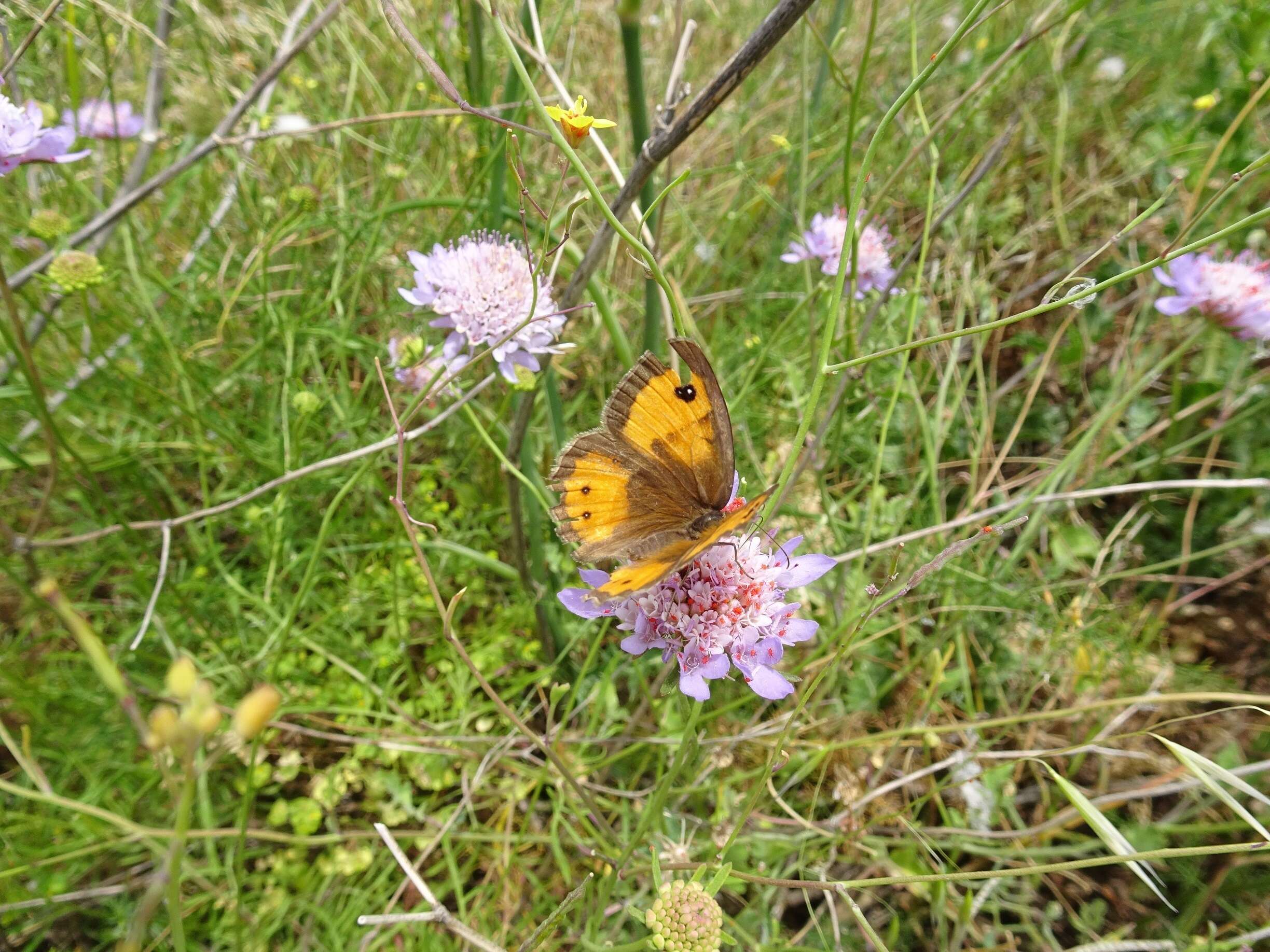 Atelier METAMORPH'OSE