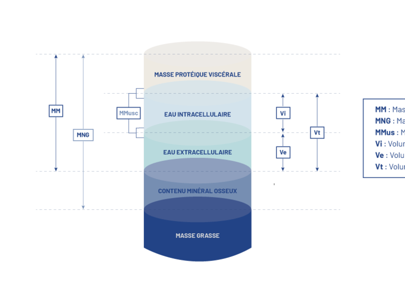 Bio-impédancemétrie | ANNE-ELISABETH MIGEON
