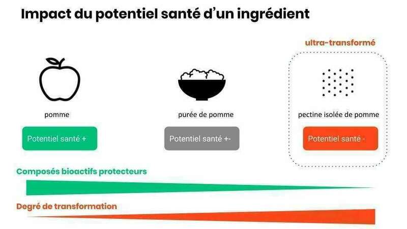 L'effet matrice des aliments | Blog