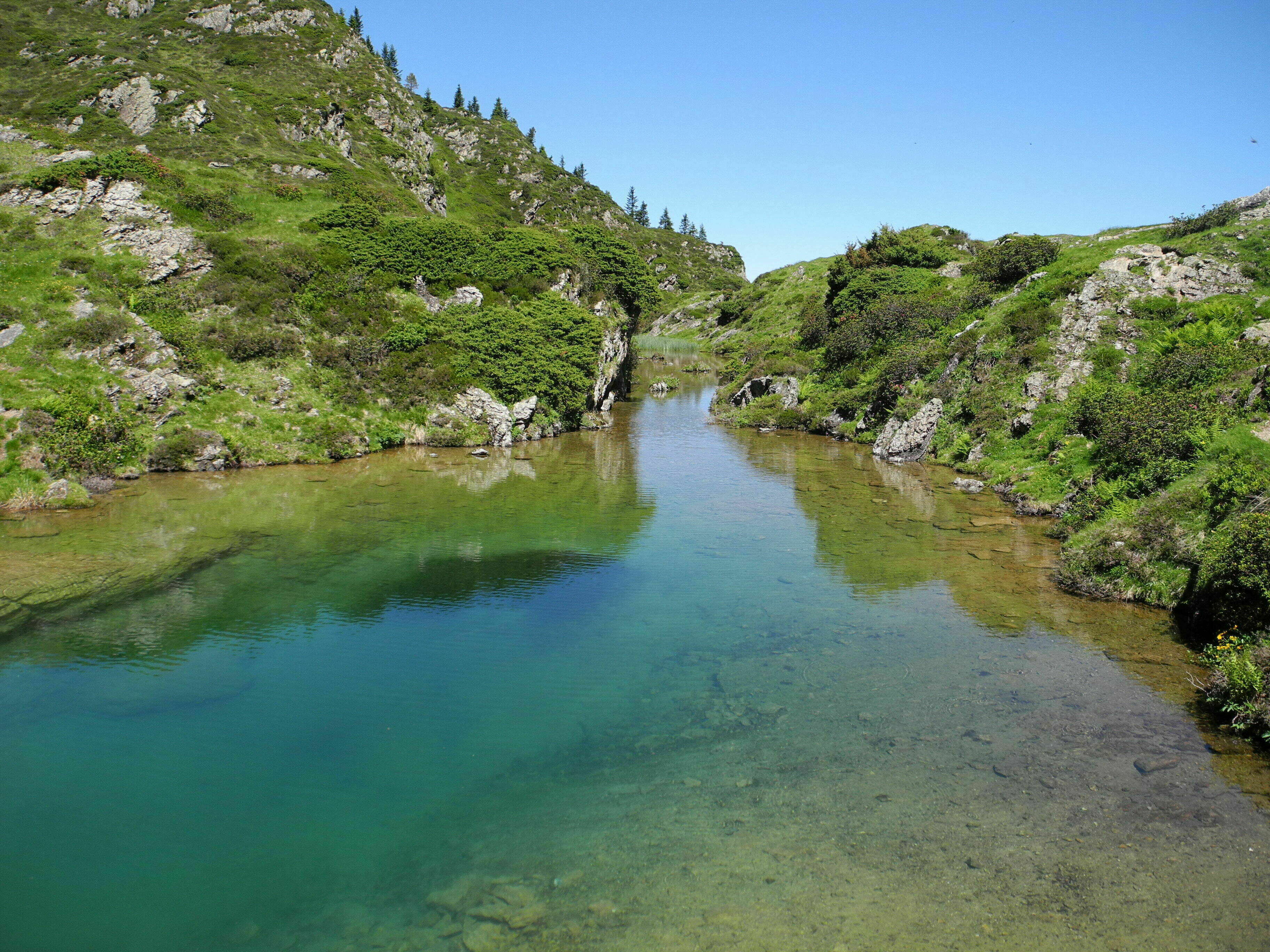 Kinésiologue à Castillon-en-Couserans (09800) | CUENOT Gudule