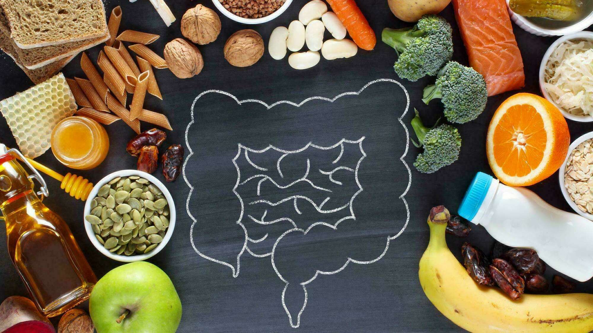 Le Butyrate : Un Acide gras essentiel pour la santé intestinale