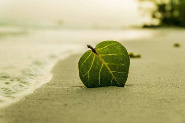 LA RESILIENCE...C'est QUOI ? | Blog LA RESILIENCE...C'est QUOI ? | Blog