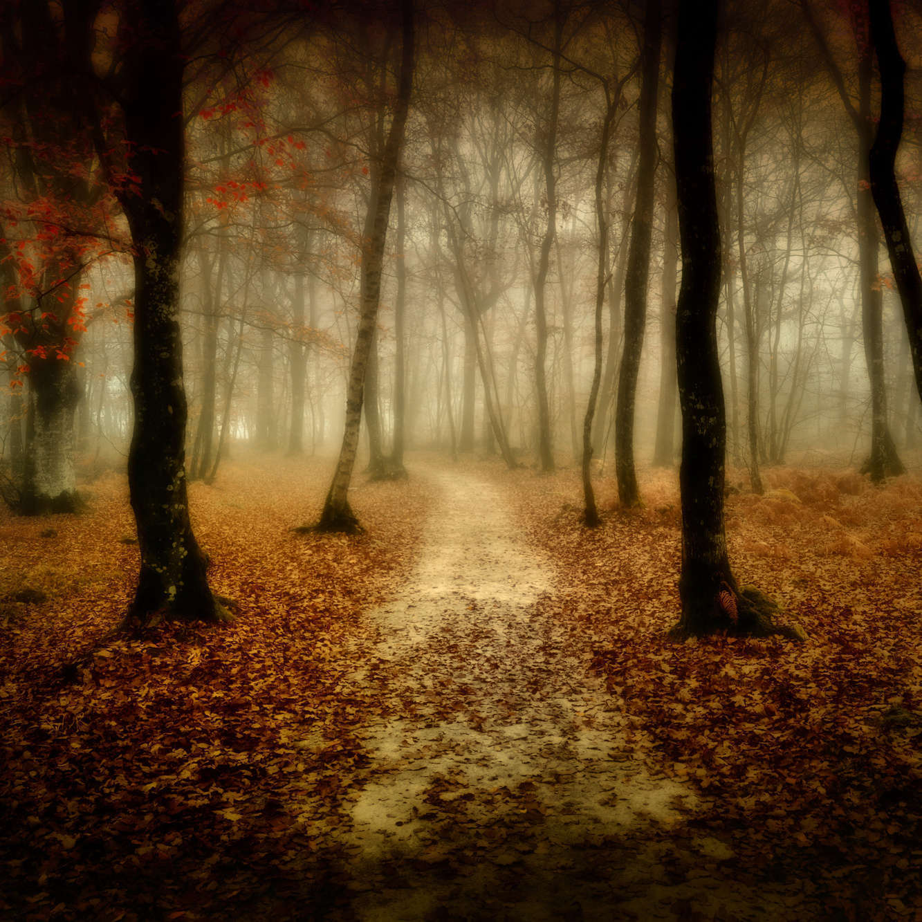 Sylvie GRYGER STANNAGE, psychopraticienne à Noisy le Roi et Le Chesnay