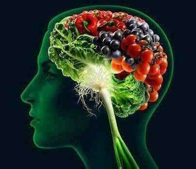 Quels sont les aliments bons pour le cerveau? | Blog
