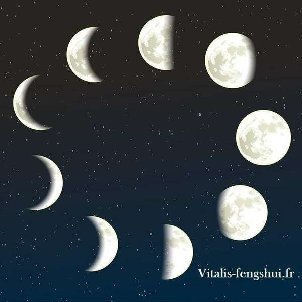 L'importance des Lunaisons | Blog
