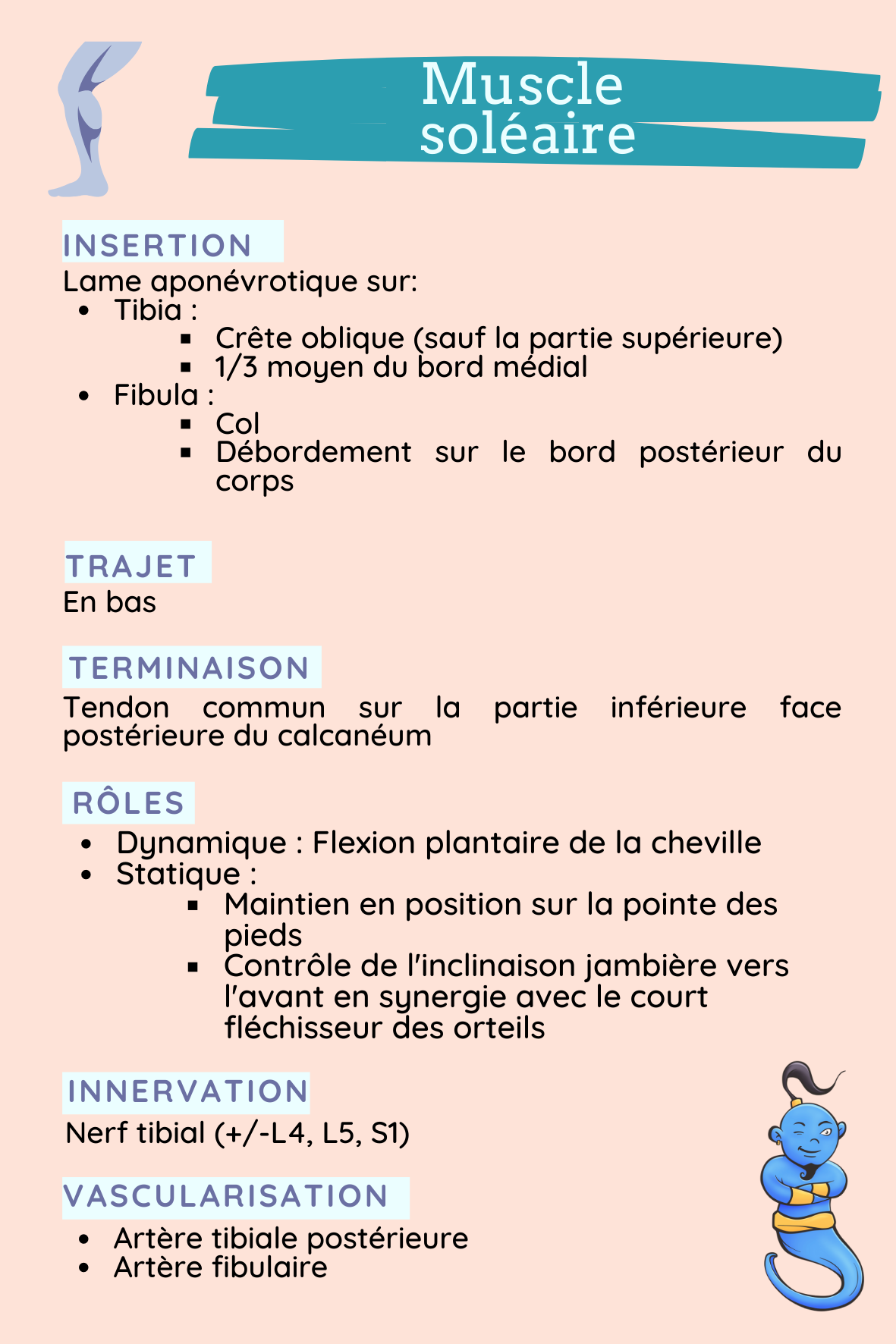 La douleur au talon chez l'enfant : la maladie de Sever et l ...