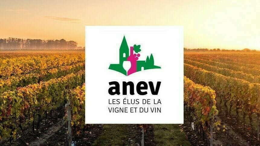 Elu président de l'Association Nationale des Elus de la Vigne et du vin ...