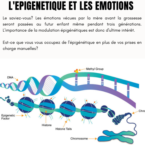 L'épigénétique et les émotions | Blog