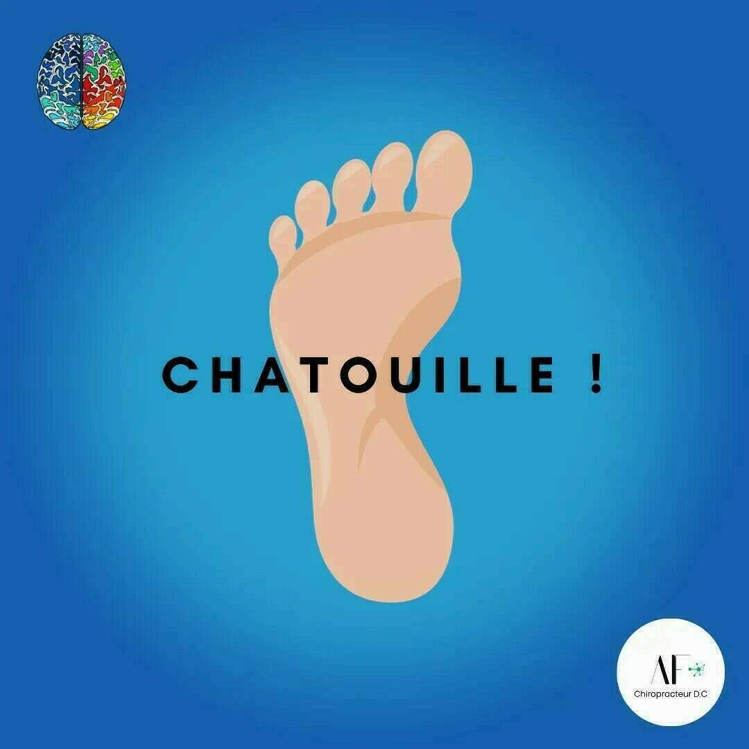 Chatouille | Blog