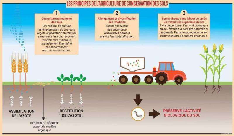 #COMMUNAY - Agriculture de conservation des sols sur l'exploitation de ... #COMMUNAY - Agriculture de conservation des sols sur l'exploitation de ...