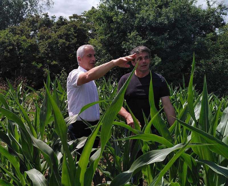 #COMMUNAY - Agriculture de conservation des sols sur l'exploitation de ... #COMMUNAY - Agriculture de conservation des sols sur l'exploitation de ...