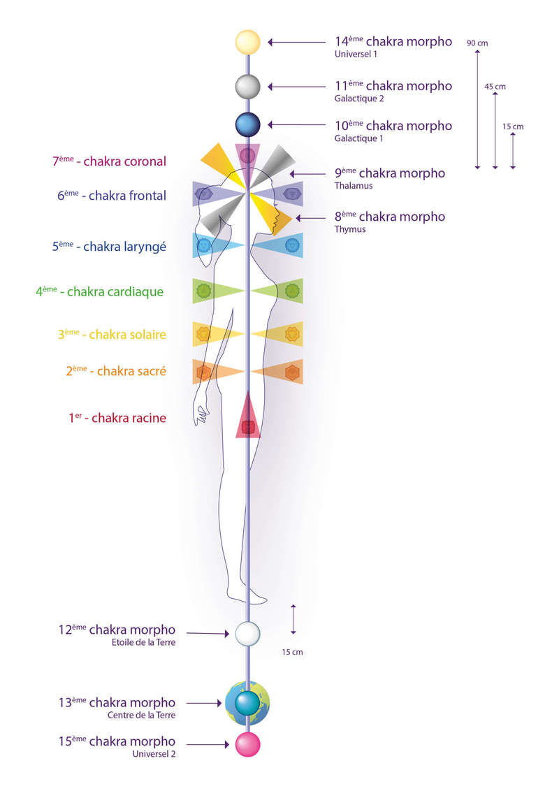 Les 15 Chakras et chakras galactiques | Blog