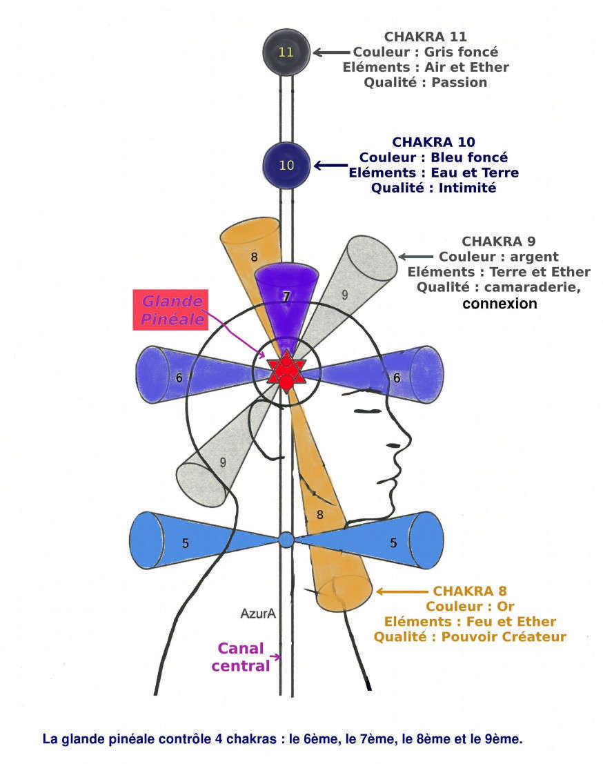Les 15 Chakras et chakras galactiques | Blog