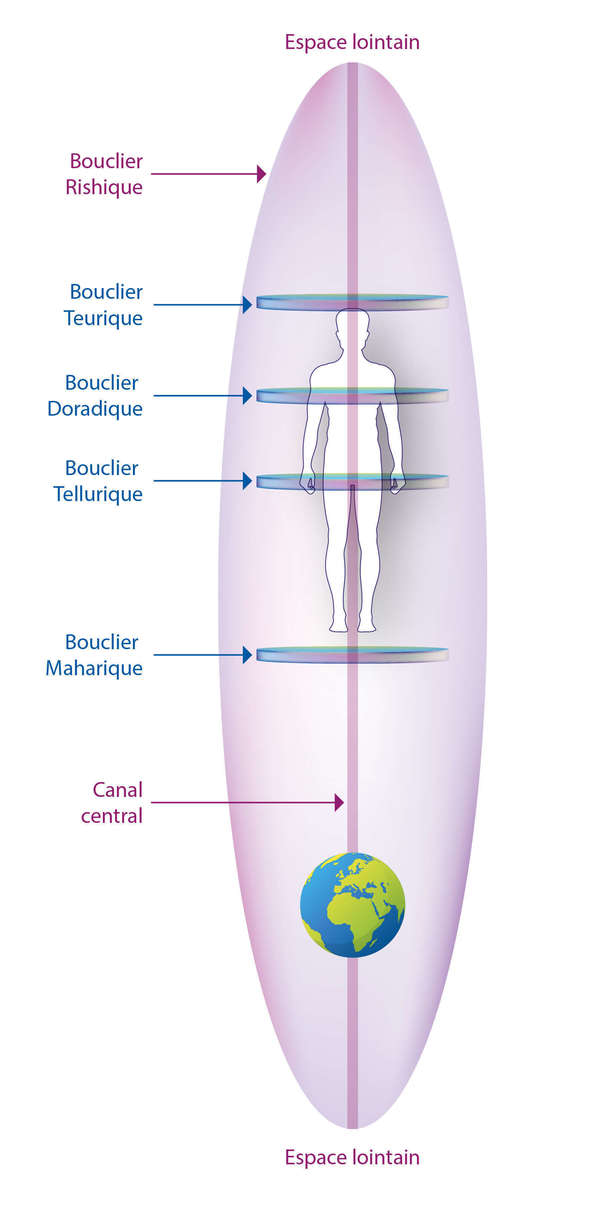 Boucliers scalaires | Blog