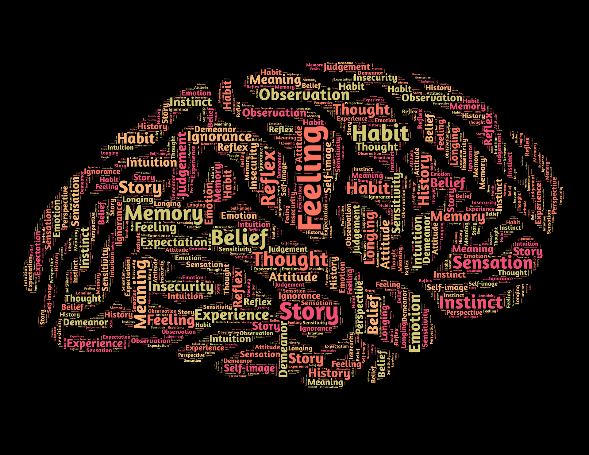 Comment Reprogrammer Son Cerveau