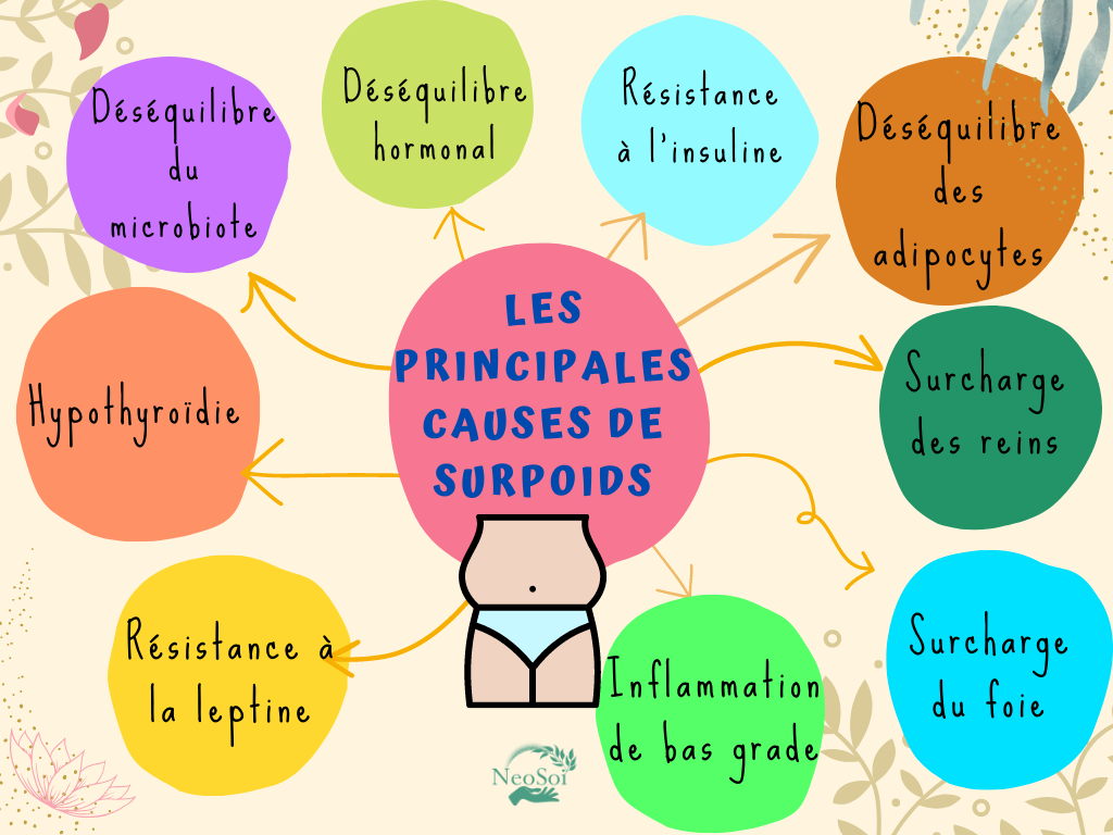 Accompagner le surpoids et l'obésité par la naturopathie