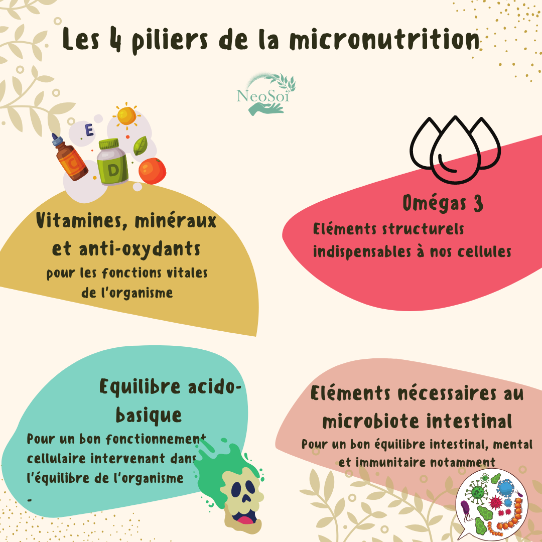 Les 4 piliers de la micronutrition