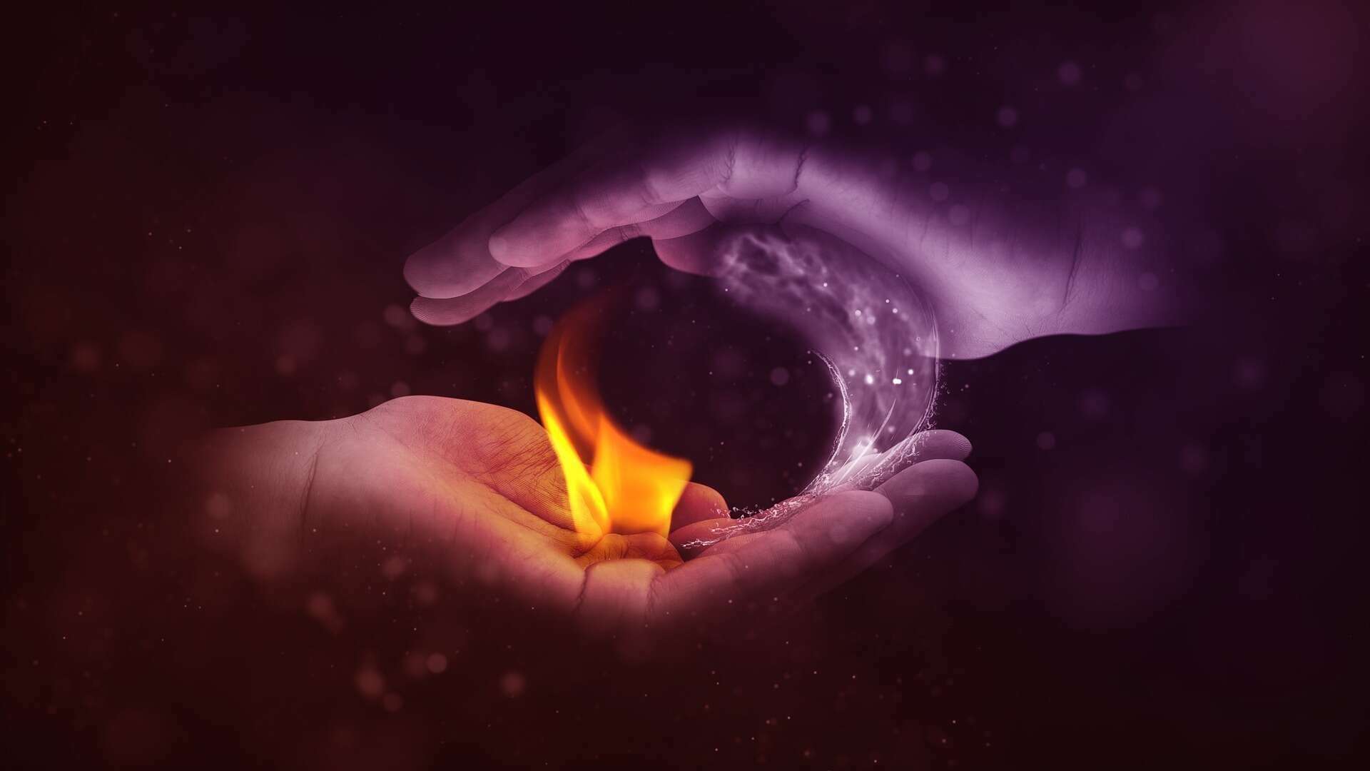 Informations pratiques | Angélique Roux