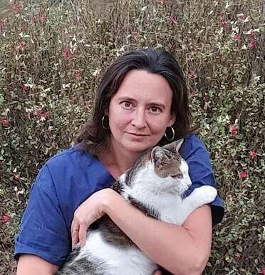 3RVET - Équipe du Donjon