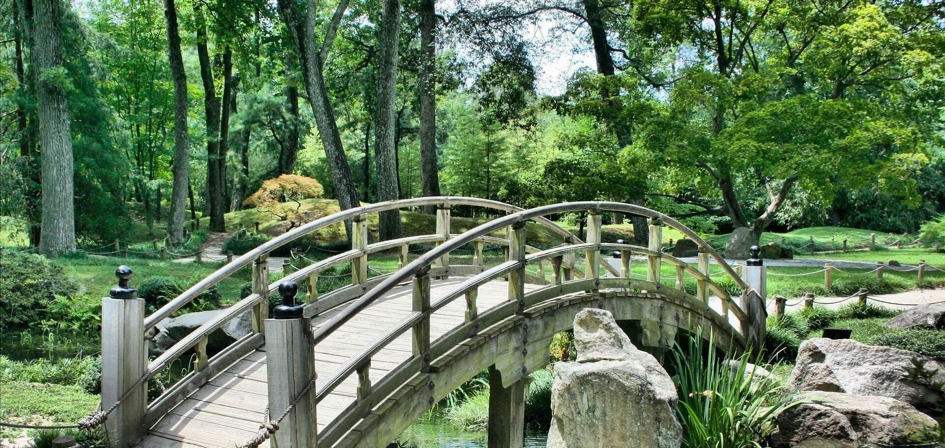 Actualités de la Fédération Française de Reiki FFRT