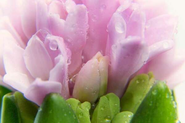 Lettre d'un Enfant Intérieur, Manon Sénécal | Blog