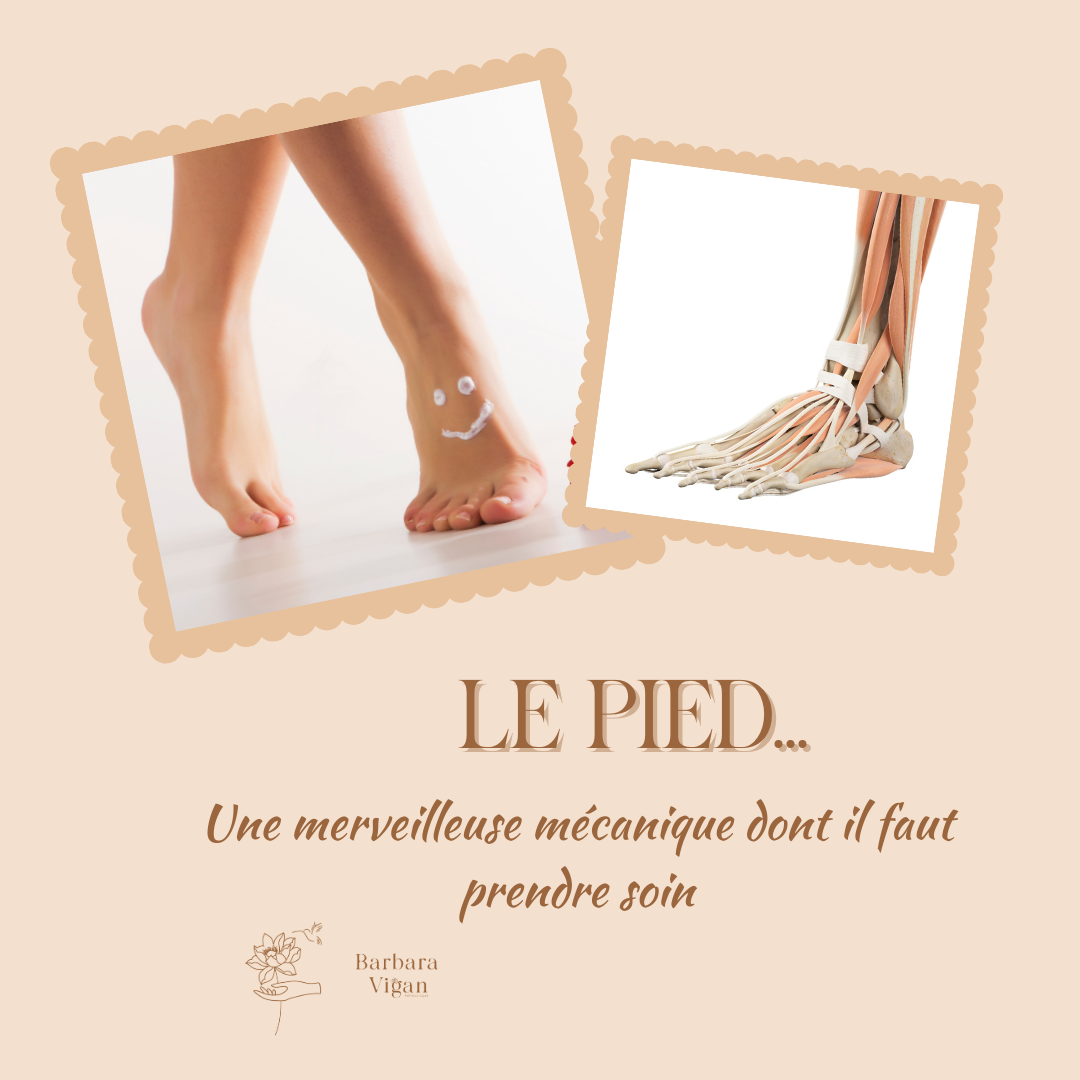 Le pied, cette merveilleuse mécanique | Blog