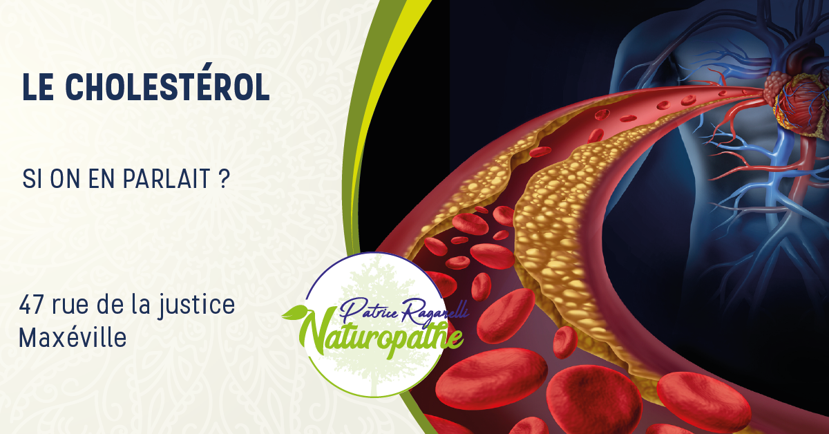 LE CHOLESTÉROL | Blog