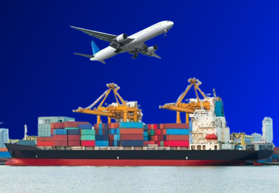 Transitaire : définition et rôle | Newsroom