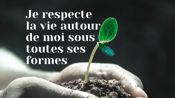 LES IDEAUX DU REIKI Je respecte la vie| Christelle Metton - Puy de Dôme ...