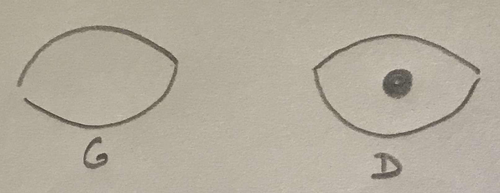 Nerf crânien II : le nerf Optique | Blog