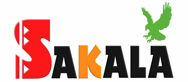 Sakala : valoriser les films, séries et documentaires produits dans les ...